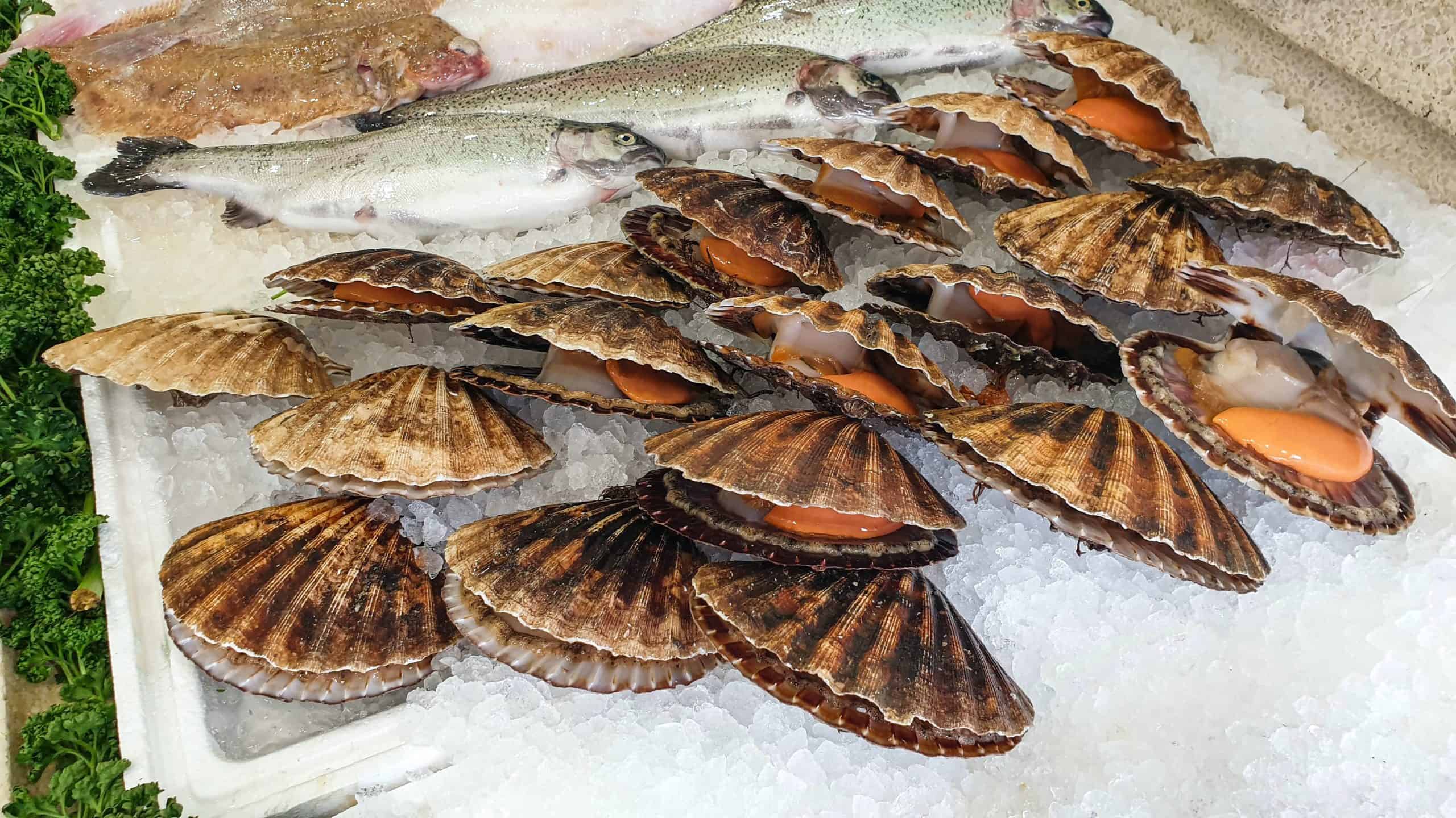 What Do Scallops Taste Like? - Kitchenware Compare